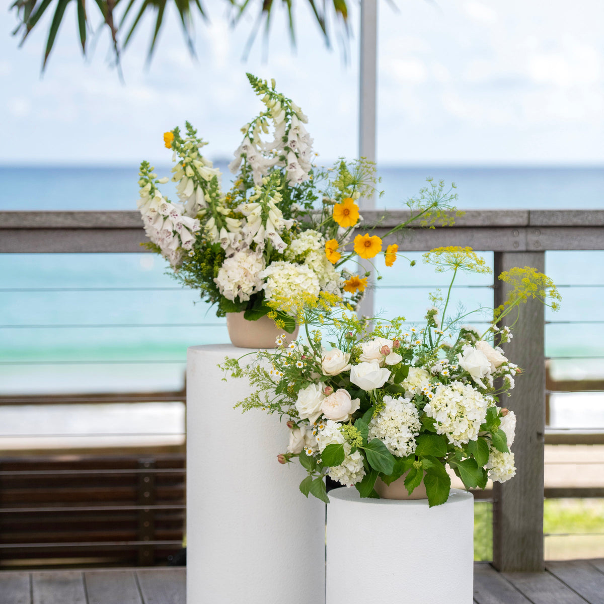 Plinth Arrangements – Poppy & Fern